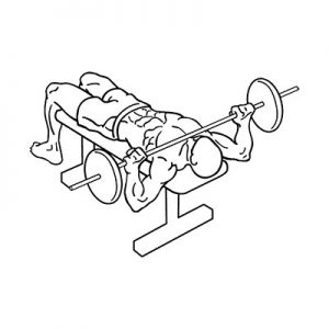 How many sets of bench press? • Bench-Press.net